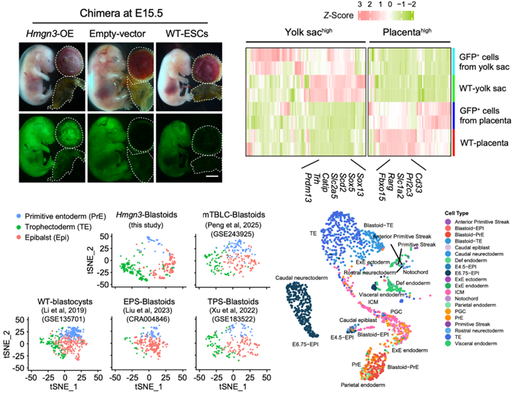 A Research Team from Nankai University Announces Critical Advances in ...